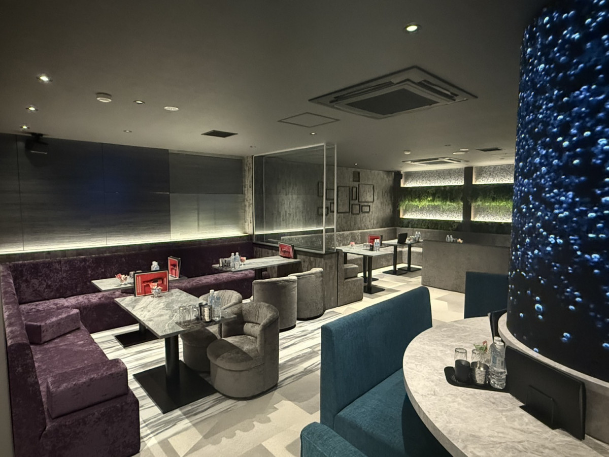 ホットニュース「本日、サンタコスプレDAY！！」（2025/12/24 20:16）Loop-キャバキャバ